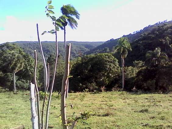 Venta de solar en cercado alto jarabacoa rms-102 en Jarabacoa ...
