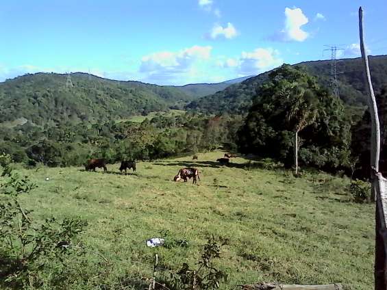 Venta de solar en cercado alto jarabacoa rms-102 en Jarabacoa ...